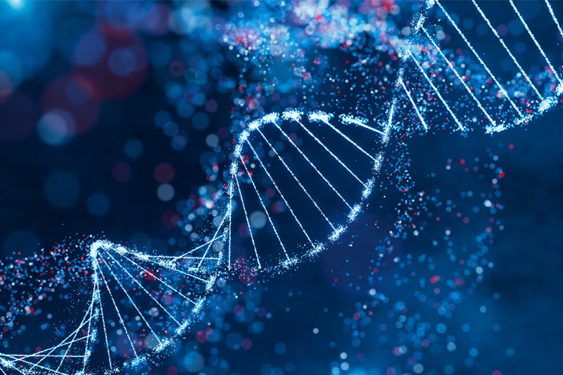 කෘත්‍රිම මානව DNA නිර්මාණය කිරීමේ මතභේදාත්මක ව්‍යාපෘතියේ වැඩ ඇරඹෙයි!